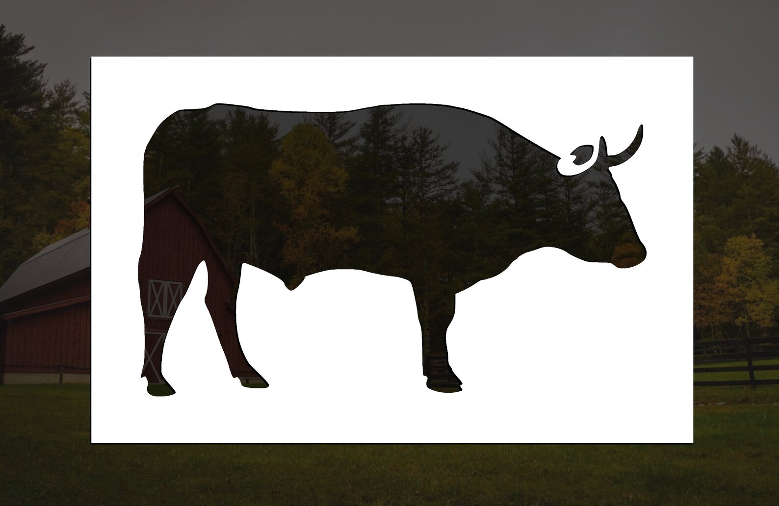 Bull Reusable Stencil (many Sizes) - Etsy