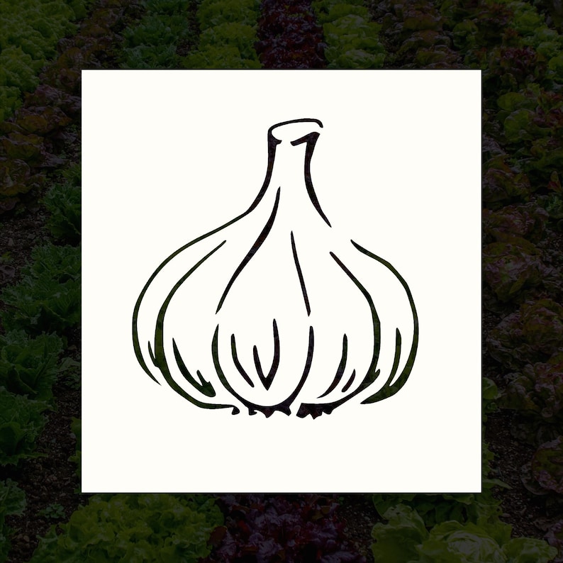 Garlic Reusable Stencil (many Sizes) - Etsy