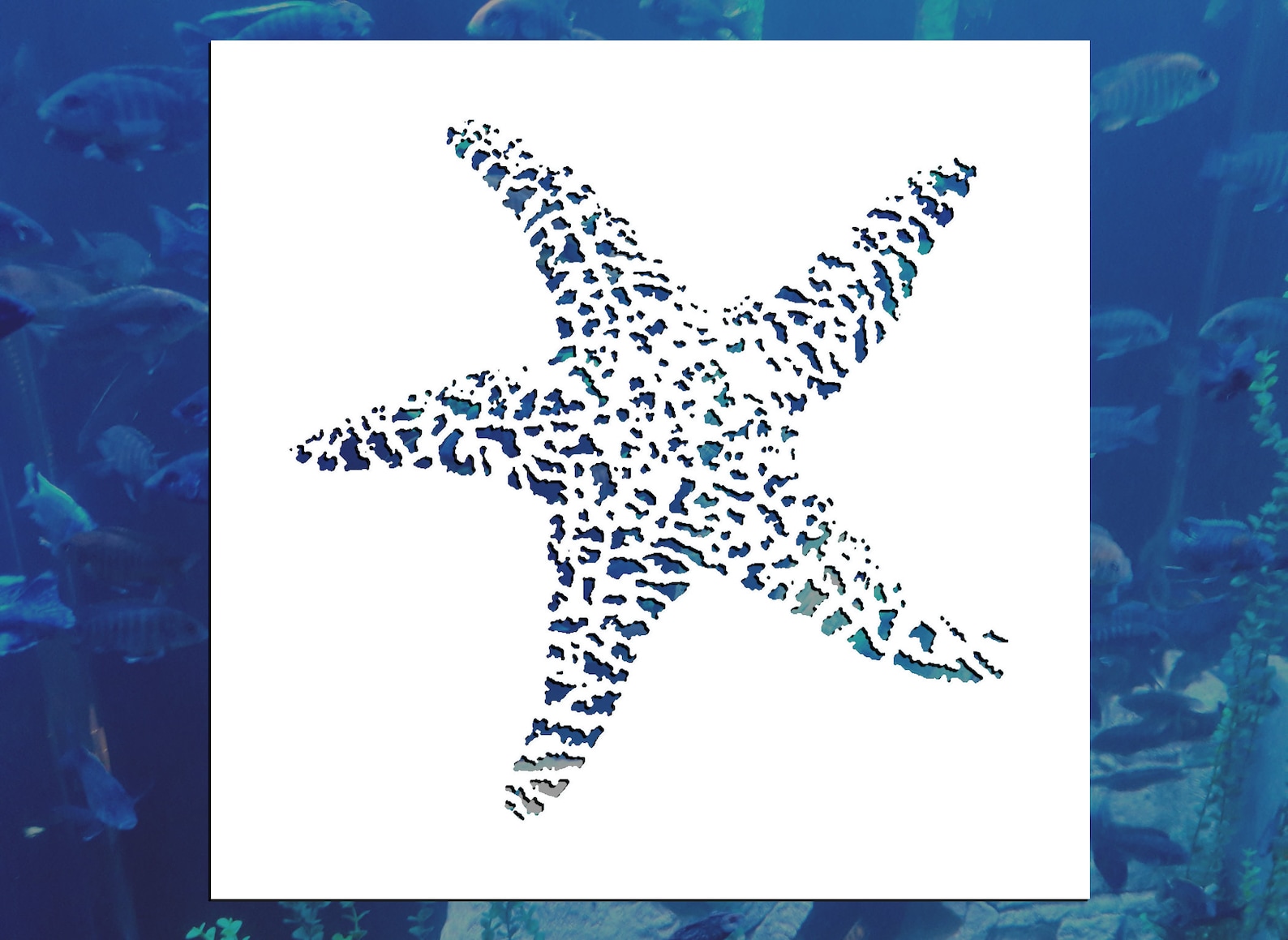 Starfish Reusable Stencil (many Sizes) - Etsy