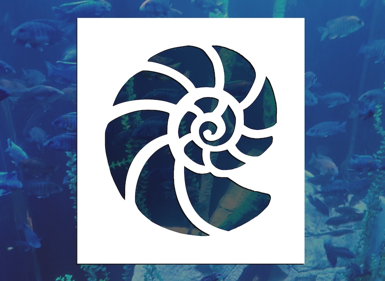 Nautilus Shell Reusable Stencil (many Sizes) - Etsy