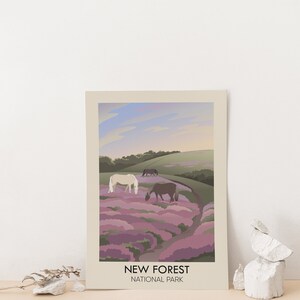 New Forest National Park Poster, New Forest Ponies, England, UK ...