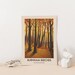Burnham Beeches Poster, Buckinghamshire, Farnham Common, Autumn ...