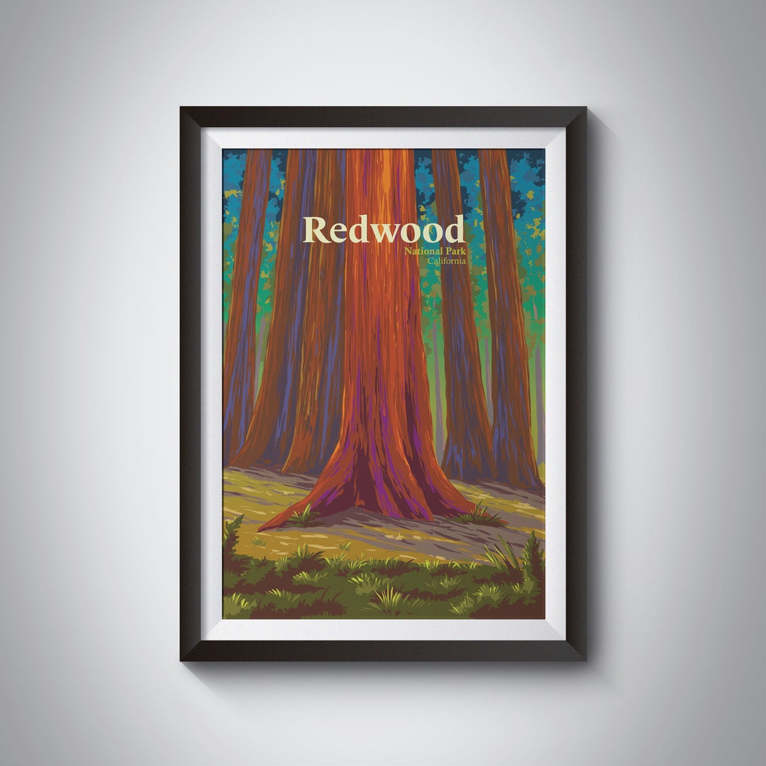 Redwood National Park Poster, State Park, Northern California, USA ...