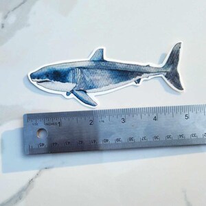 Great White Shark Sticker Watercolor Sticker Shark Art Original Art ...