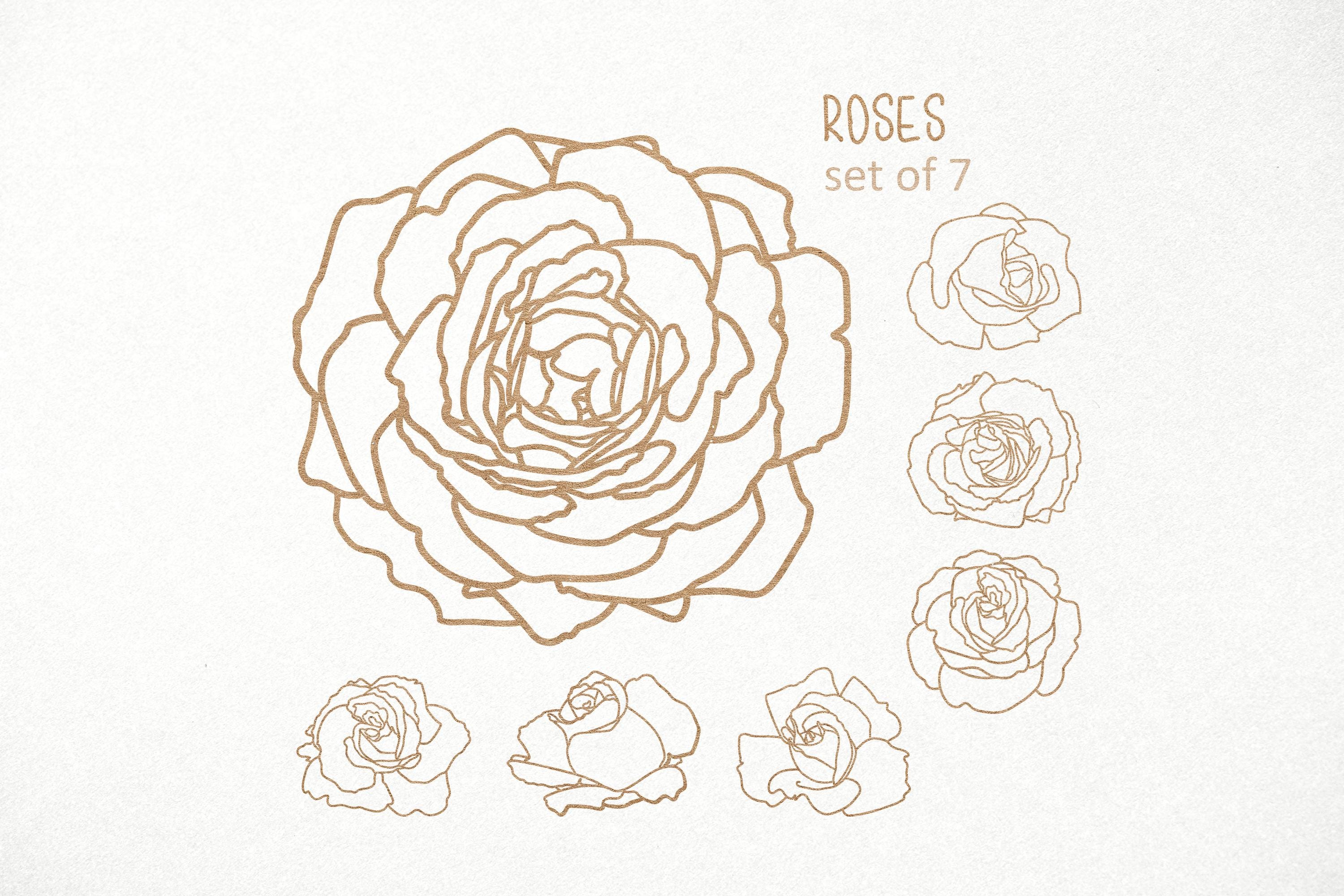 Rose Svg Bundle. Rose Flower Svg. Roses Svg. Digital SVG PNG DXF Files ...