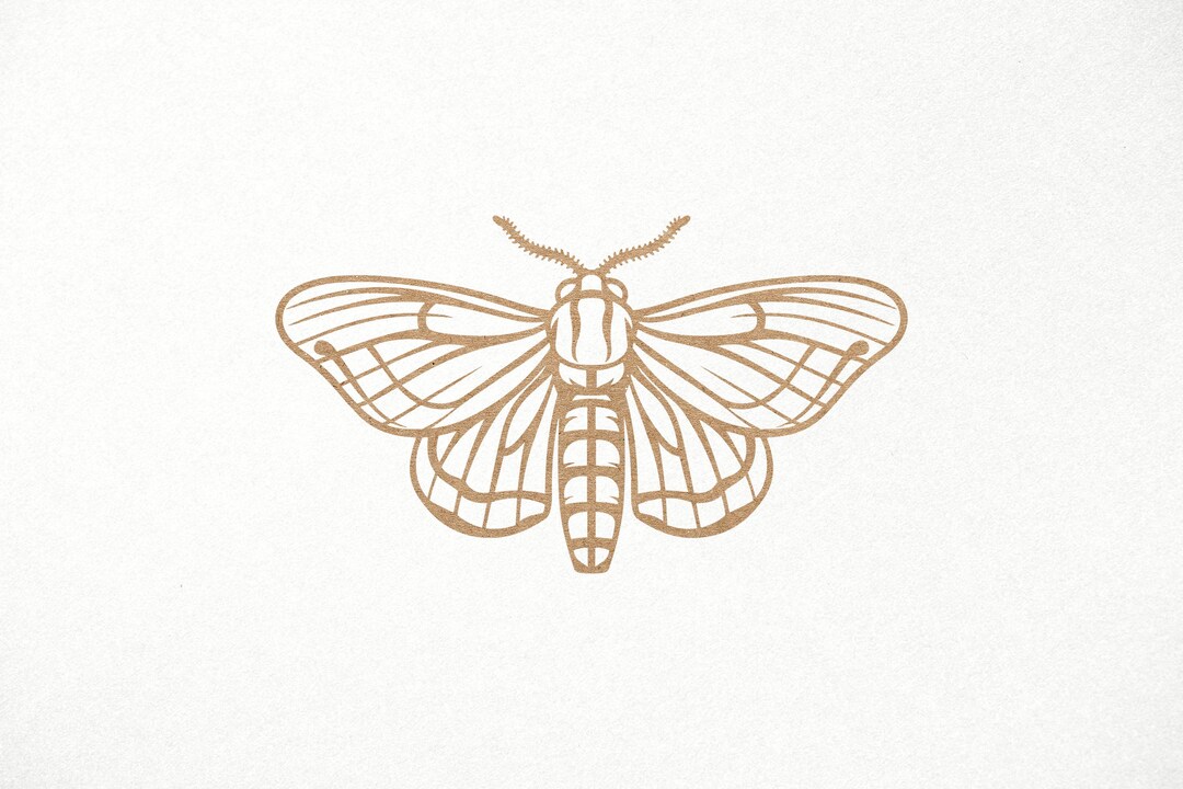 Moth Svg. Moth Laser Cut Svg File. Moth Papercut Svg. Digital SVG PNG ...