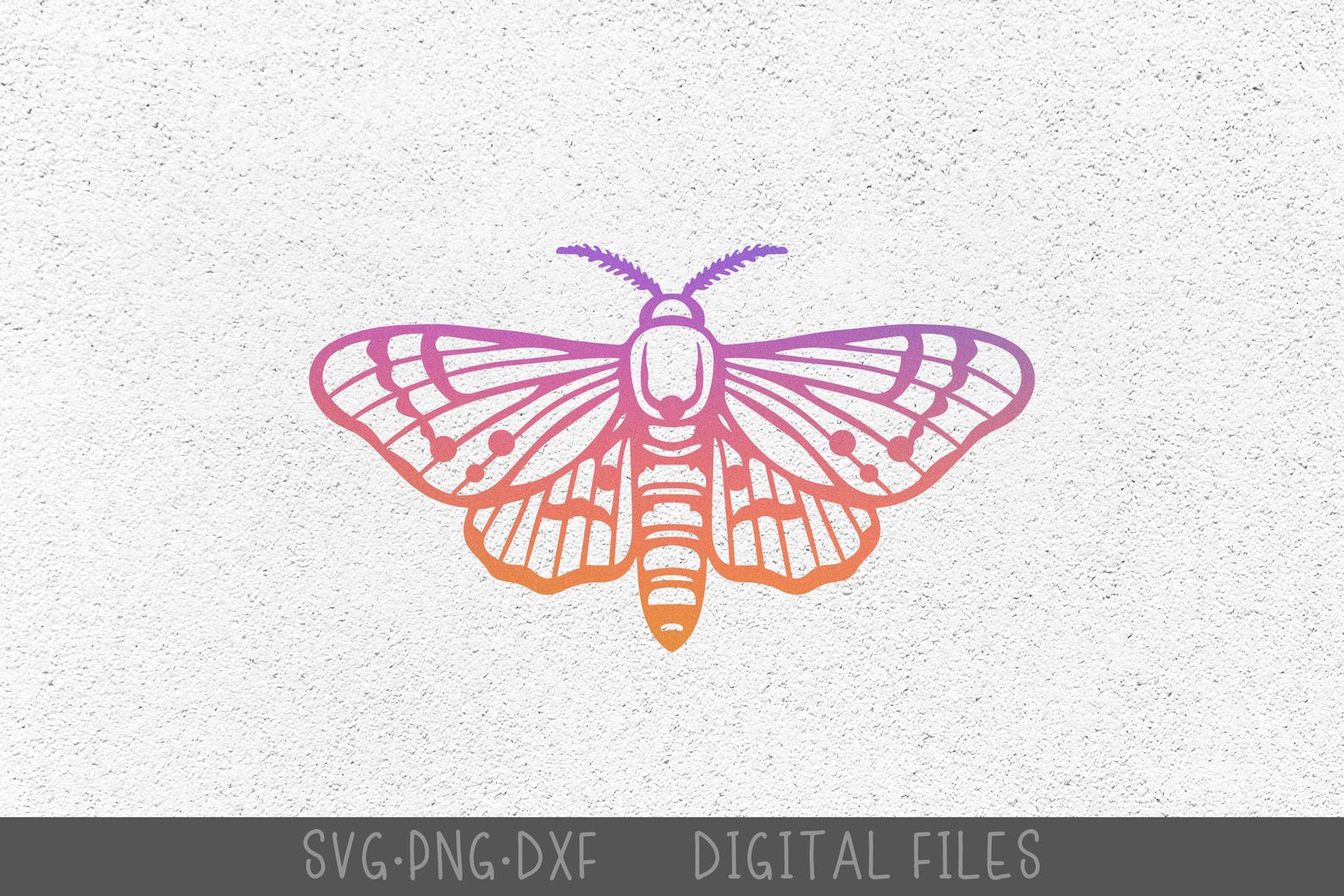 Moth Svg. Moth Laser Cut Svg File. Moth Papercut Svg. Digital SVG PNG ...