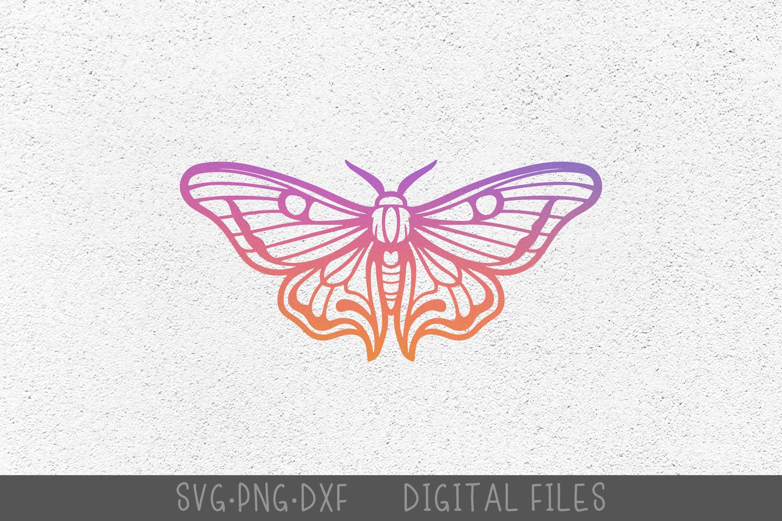 Moth Svg. Moth Laser Cut Svg File. Moth Papercut Svg. Digital SVG PNG ...