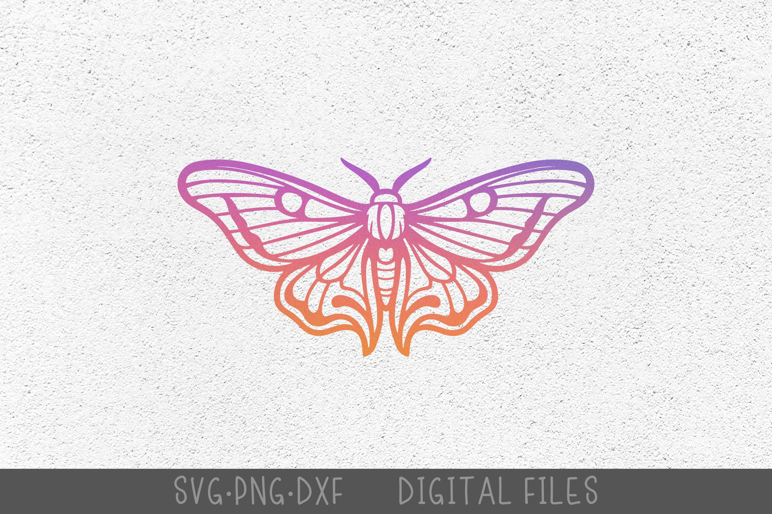 Moth Svg. Moth Laser Cut Svg File. Moth Papercut Svg. Digital SVG PNG ...
