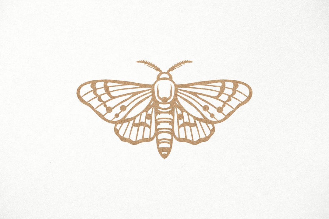 Moth Svg. Moth Laser Cut Svg File. Moth Papercut Svg. Digital SVG PNG ...