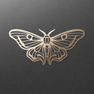 Moth Svg. Moth Laser Cut Svg File. Moth Papercut Svg. Digital SVG PNG ...