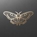Moth Svg. Moth Laser Cut Svg File. Moth Papercut Svg. Digital SVG PNG ...