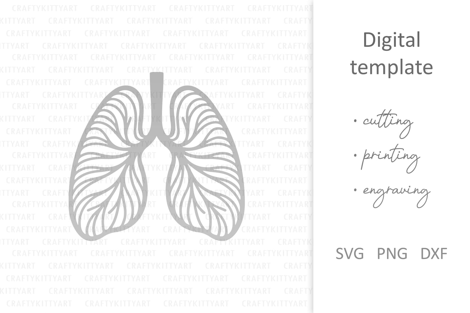 Anatomical Organ Svg Bundle. Digital SVG PNG DXF Files for Paper ...