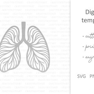 Anatomical Organ Svg Bundle. Digital SVG PNG DXF Files for Paper ...
