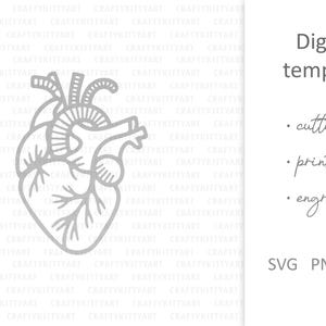 Anatomical Organ Svg Bundle. Digital SVG PNG DXF Files for Paper ...