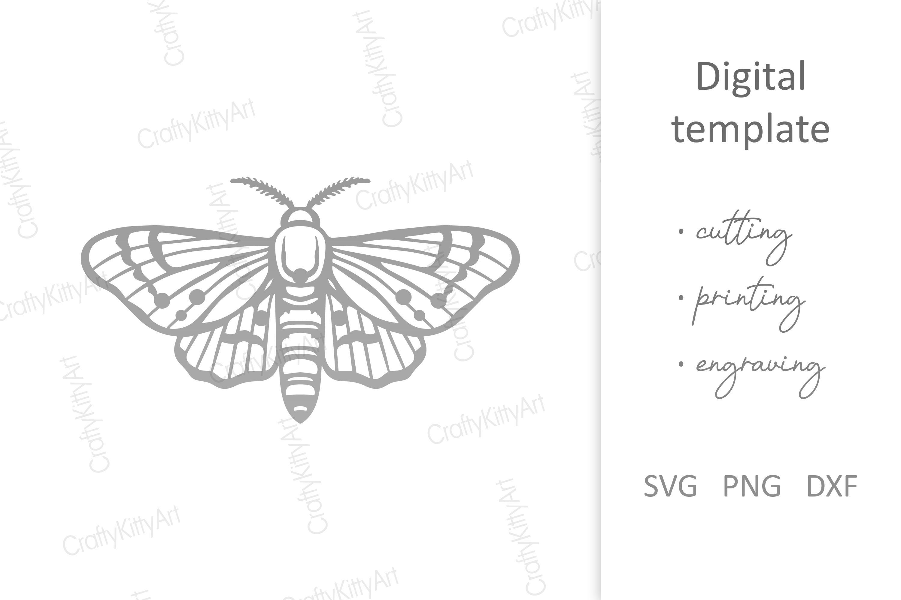 Moth Svg. Moth Laser Cut Svg File. Moth Papercut Svg. Digital SVG PNG ...