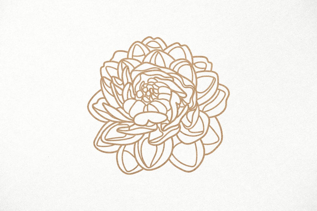Peony Svg. Peony Flower Svg. Digital SVG PNG DXF Files for Vinyl/paper ...