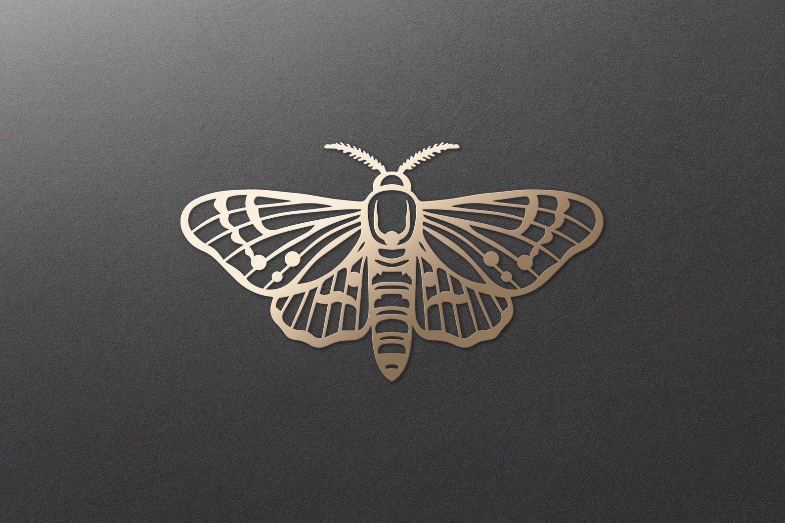 Moth Svg. Moth Laser Cut Svg File. Moth Papercut Svg. Digital SVG PNG ...
