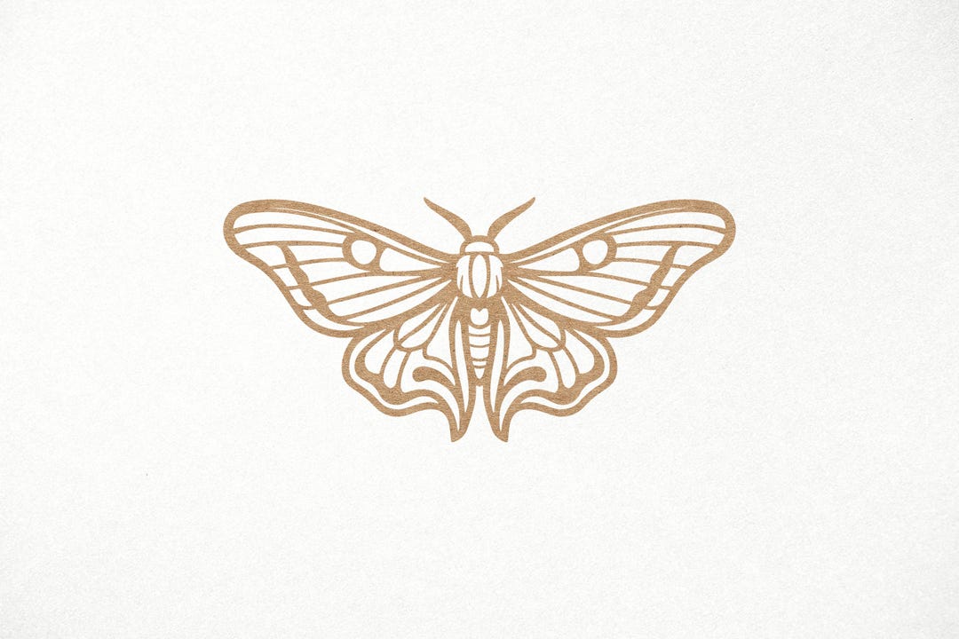 Moth Svg. Moth Laser Cut Svg File. Moth Papercut Svg. Digital SVG PNG ...