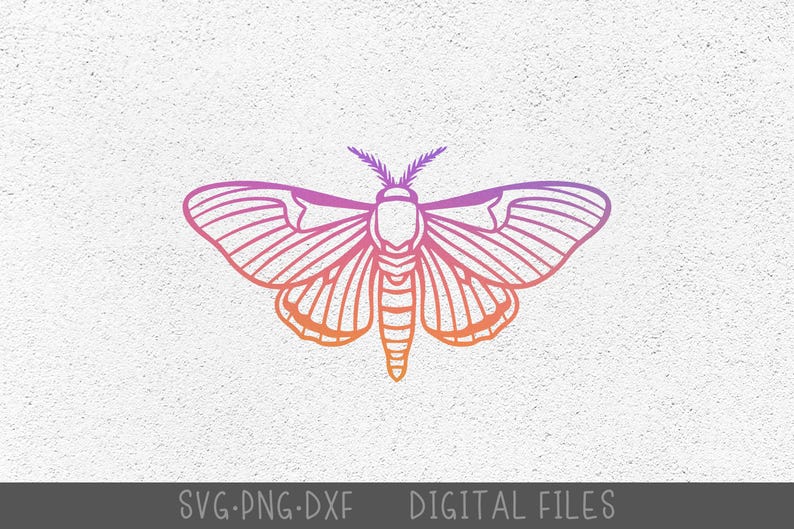 Moth Svg. Moth Laser Cut Svg File. Moth Papercut Svg. Digital SVG PNG ...