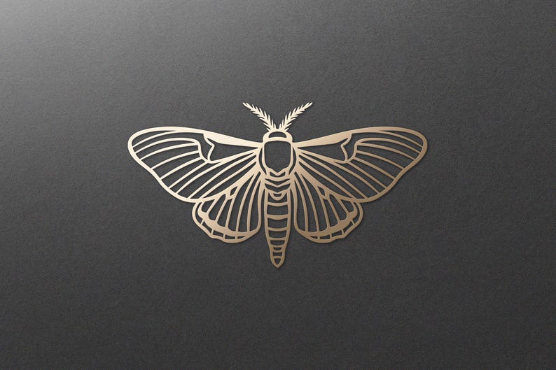 Moth Svg. Moth Laser Cut Svg File. Moth Papercut Svg. Digital SVG PNG ...