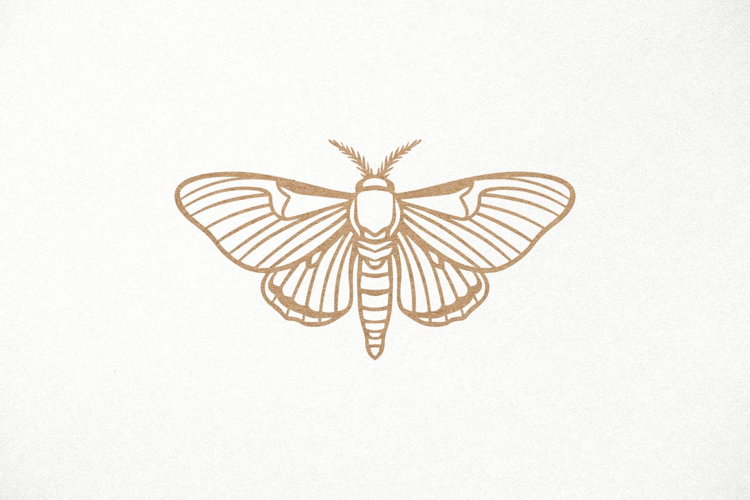 Moth Svg. Moth Laser Cut Svg File. Moth Papercut Svg. Digital SVG PNG ...