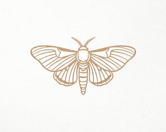 Moth Svg. Moth Laser Cut Svg File. Moth Papercut Svg. Digital SVG PNG ...