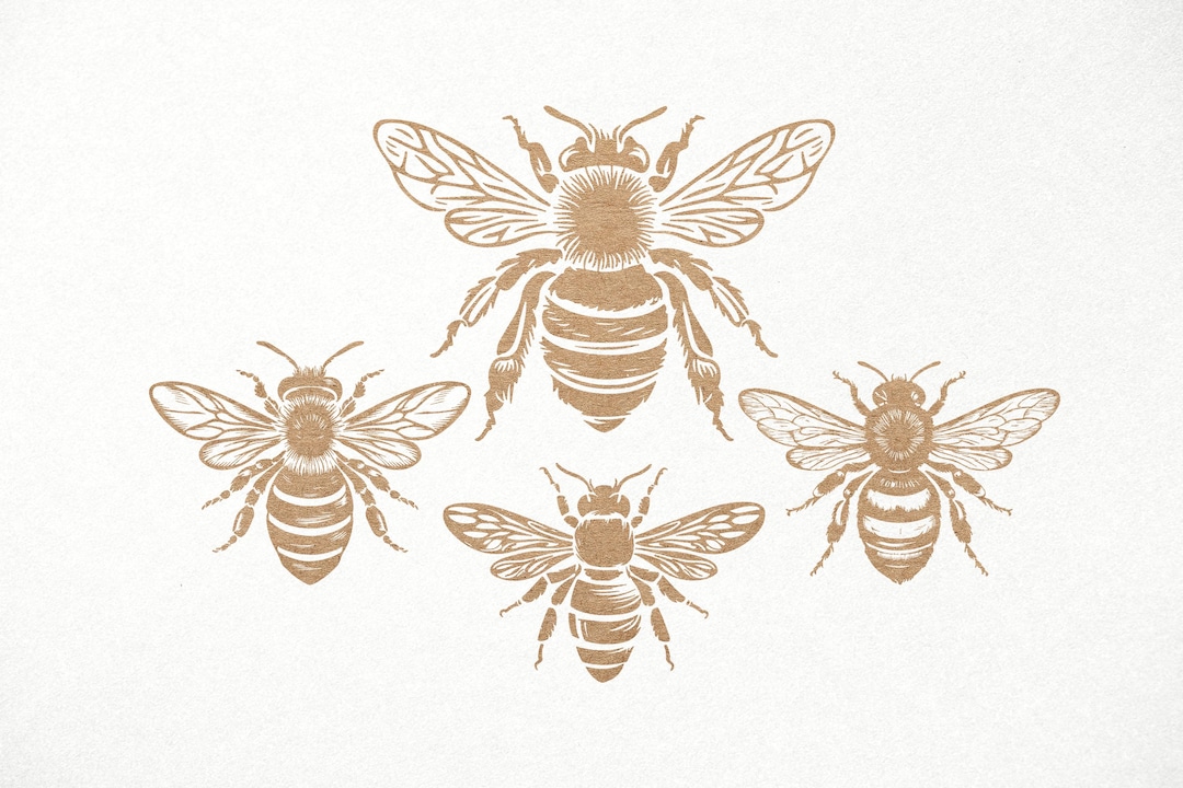 Honey Bee Svg Bundle. Bee SVG PNG DXF Files for Cricut Silhouette ...