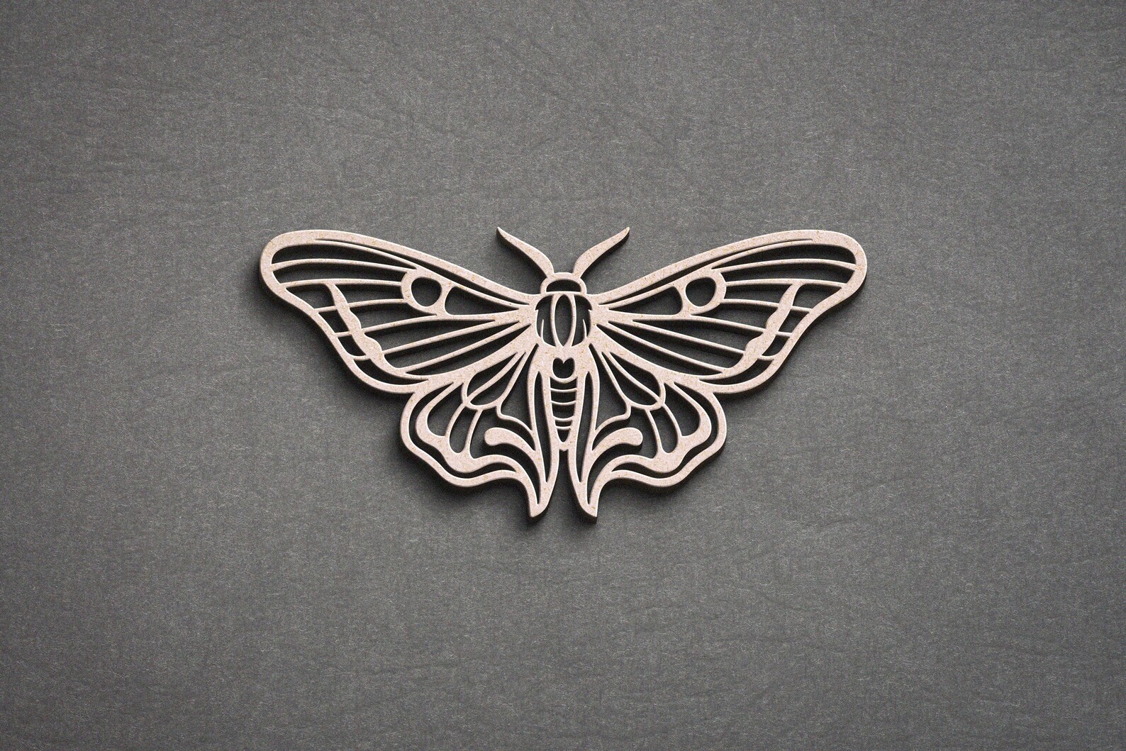 Moth Svg. Moth Laser Cut Svg File. Moth Papercut Svg. Digital SVG PNG ...