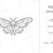 Moth Svg. Moth Laser Cut Svg File. Moth Papercut Svg. Digital SVG PNG ...