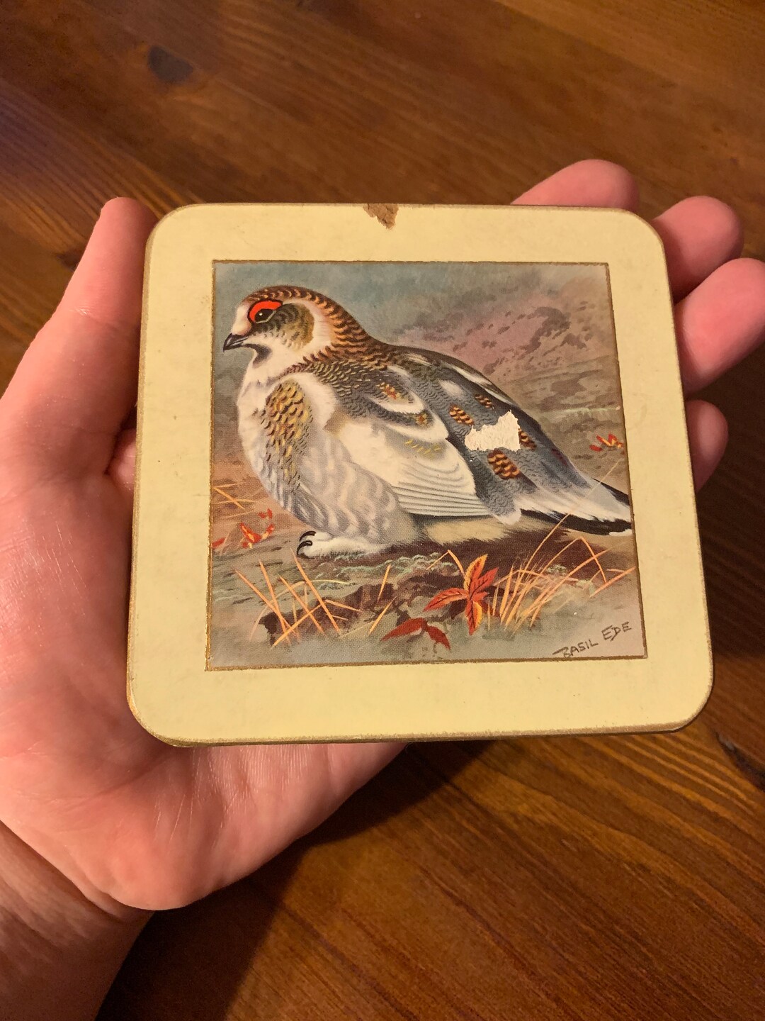 Basil Ede Bird Picture Print. Tea Tray. - Etsy