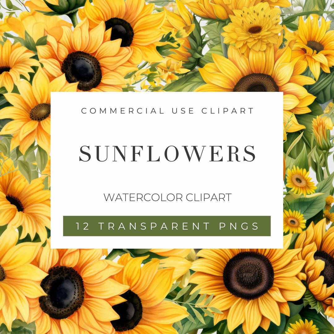 Sunflower Watercolor Floral Clipart - Etsy