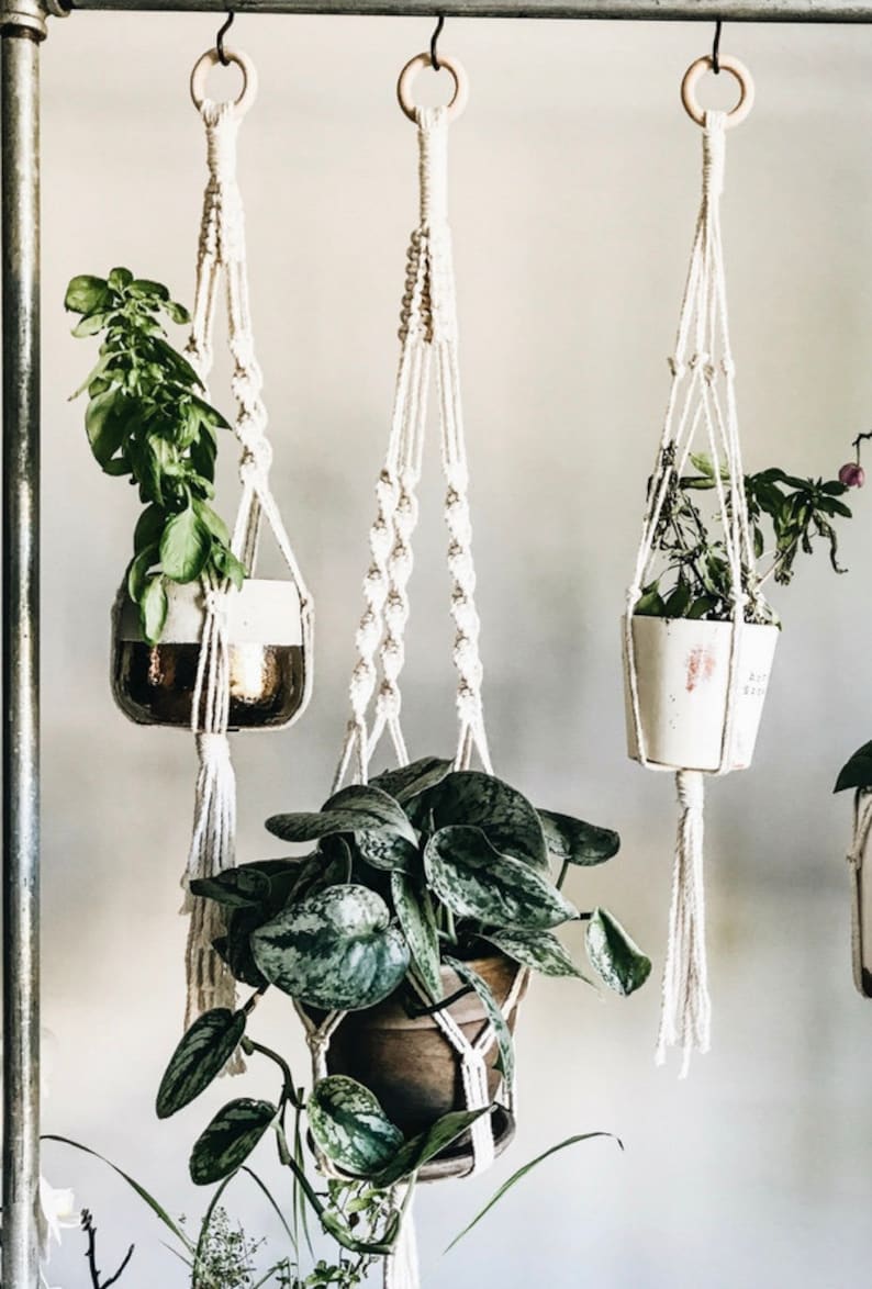 Macrame Plant Hanger Set of 5, Macrame Plant Holders, Hanging Planters ...