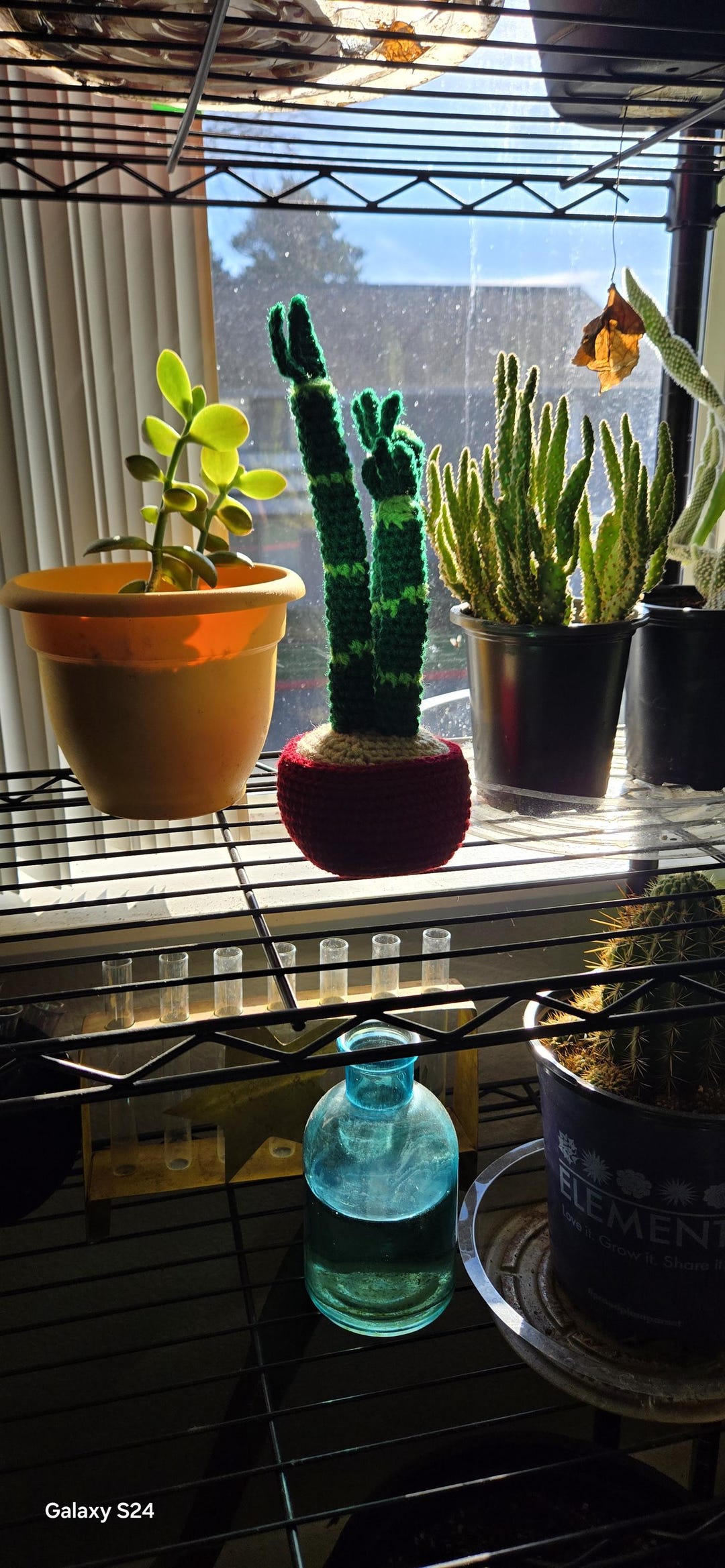 Decorative Crochet Bamboo! Bamboo Plant, No Water Needed Plant, Crochet Plant, Crochet Bamboo ...