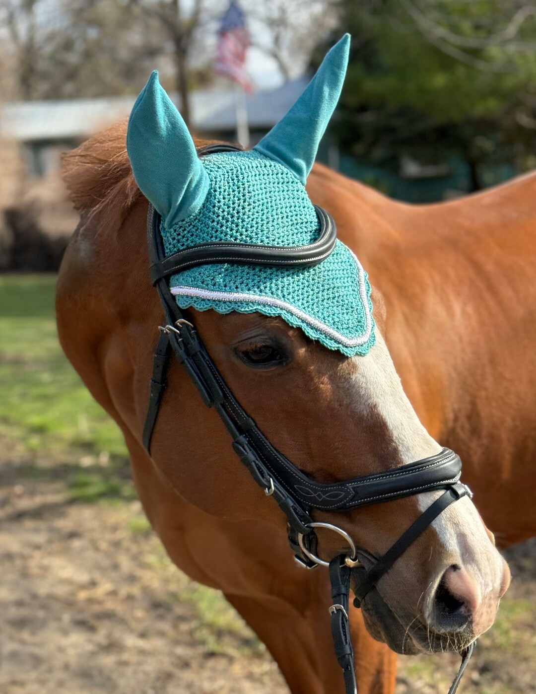 Aqua Blue Horse Bonnet - Etsy