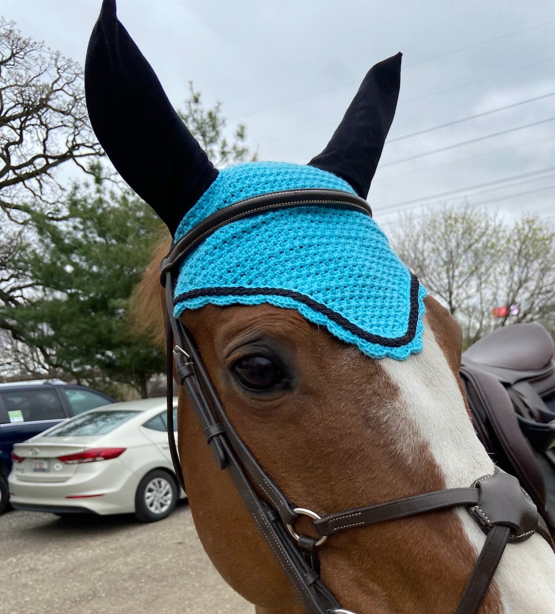 Aqua and Black Horse Bonnet - Etsy