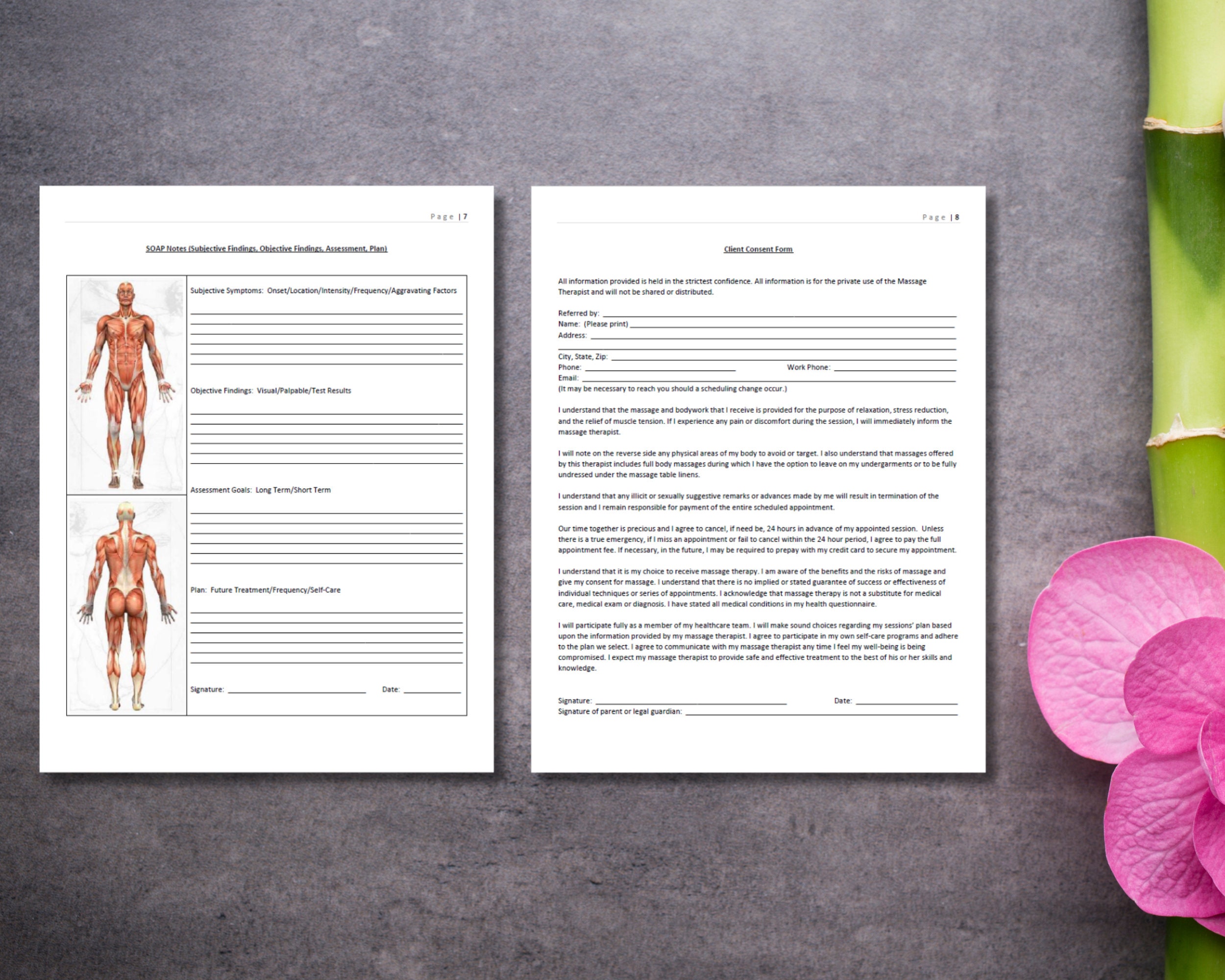 Printable Massage Therapy Client Intake Forms | Client Forms | Massage ...