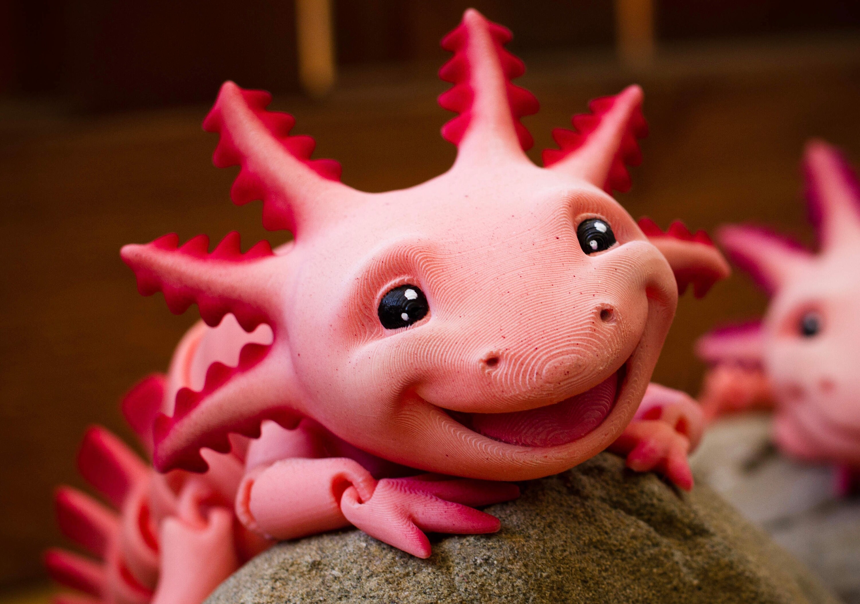 Big Smile Axolotl Fidget Toy - Etsy