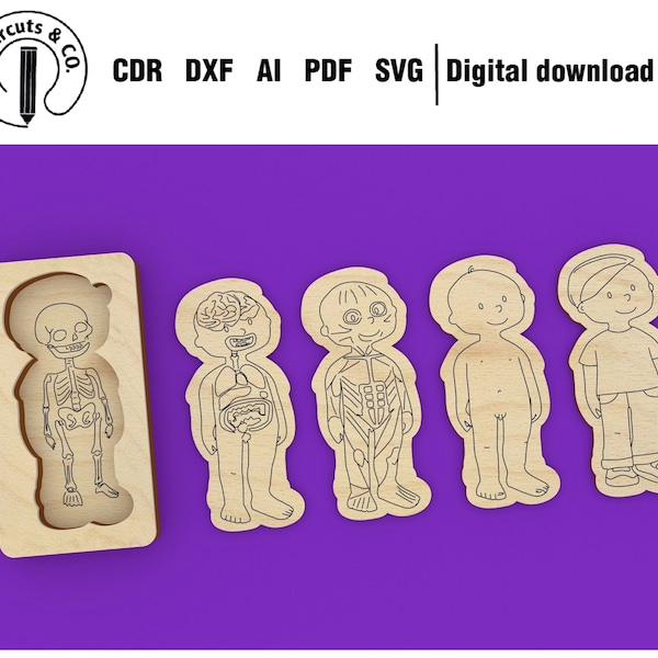 Human Anatomy Laser File - Etsy