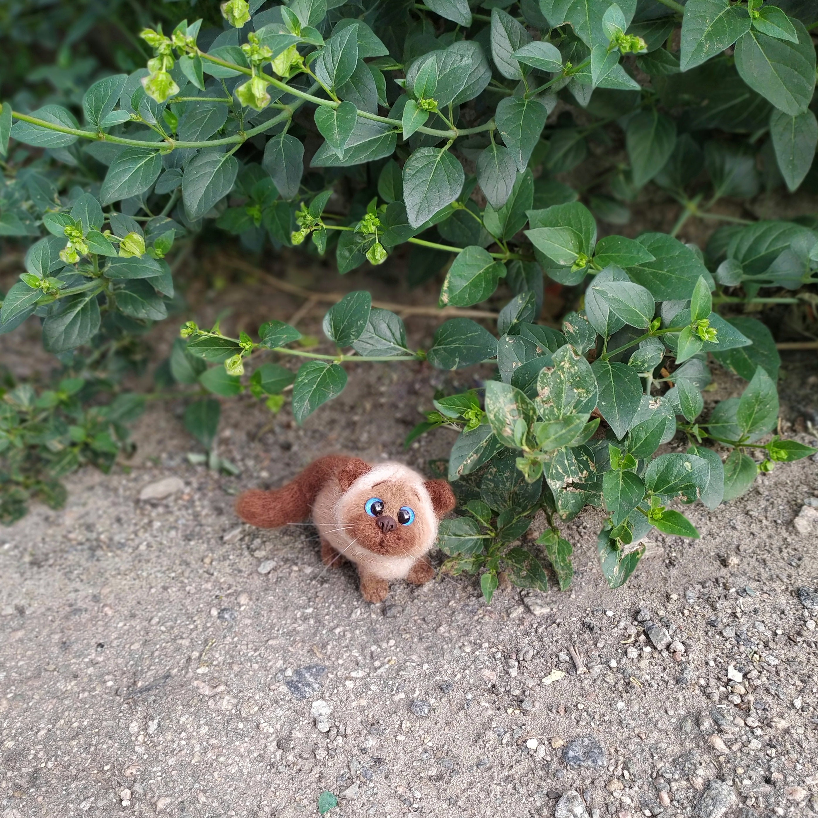 Crochet tiny siamese cat authentic designer plushies | Etsy