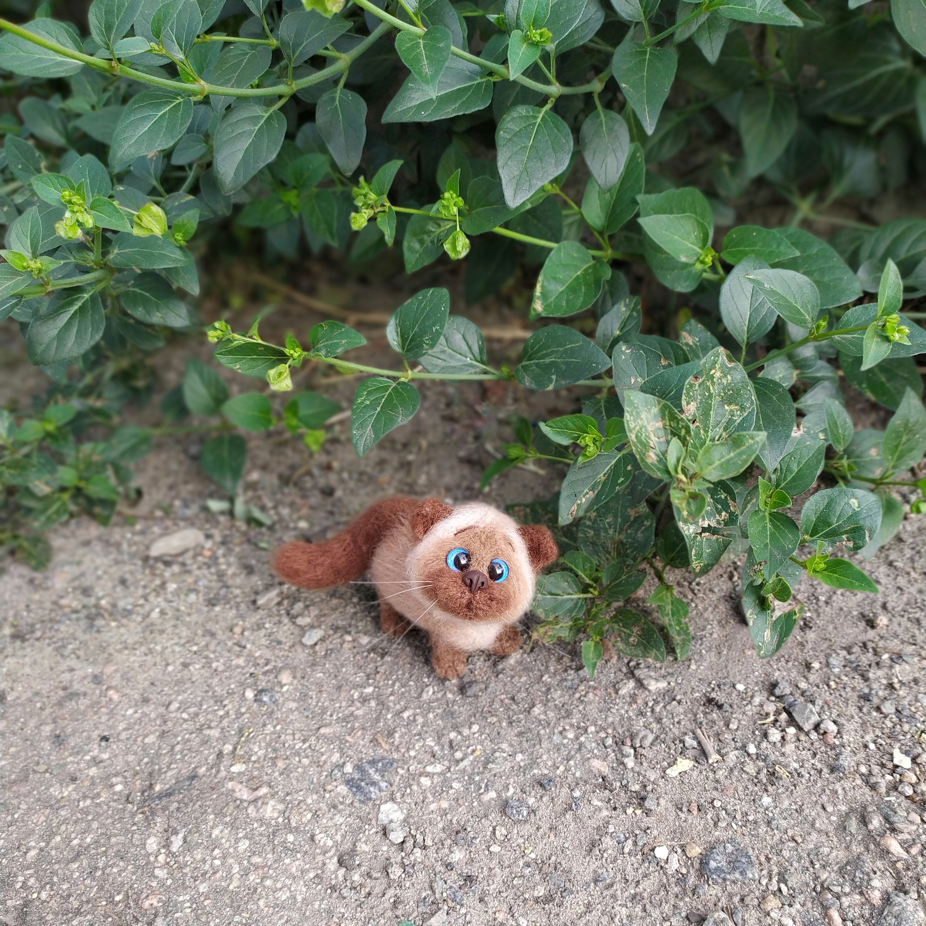 Crochet tiny siamese cat authentic designer plushies | Etsy