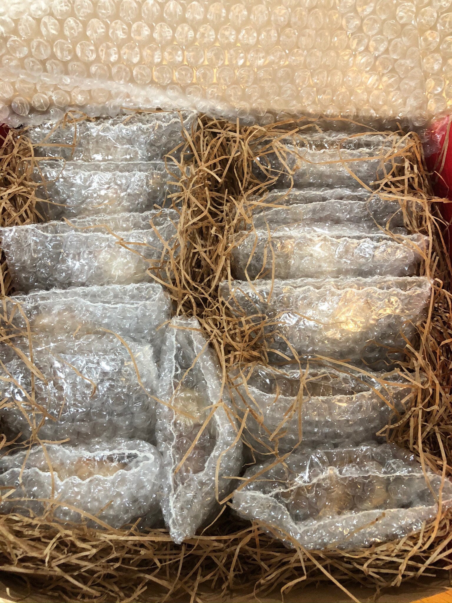 50 Undecorated Gingerbread Man Cookies: Holiday Decorating Party Favors ...