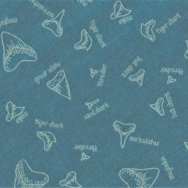 Shark Tooth Jewelry - Etsy