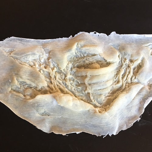 Stitched Wound Prosthetic Stitches Gore SFX Makeup | Etsy UK