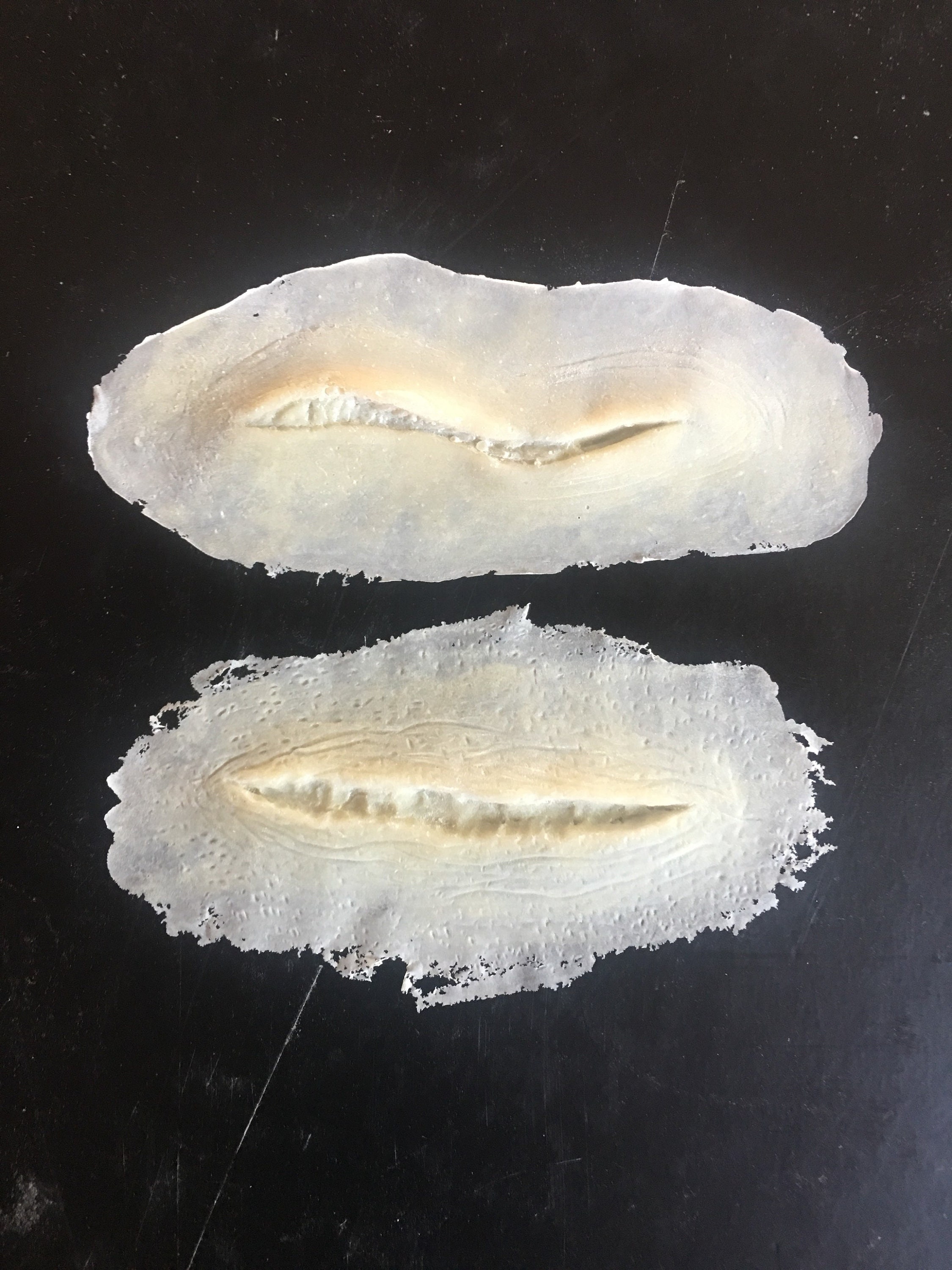 Slip Latex Wounds Cuts and Lacerations | Etsy