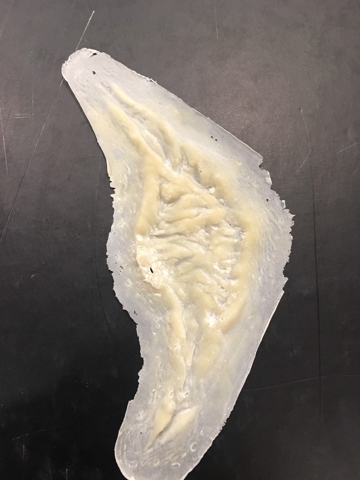 Slip Latex Wounds Infected Zombie Flesh - Etsy