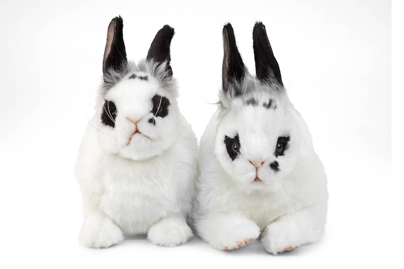 Super-soft Realistic Plush playful Valentino the | Etsy