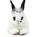 Super-soft, Realistic, Plush "cuddly" Valentino the Love Bunny Toy - Etsy