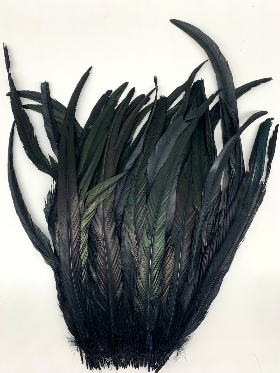 Rooster Coque Many Sizes - Black Iridescent - Sold by the Inch - Etsy