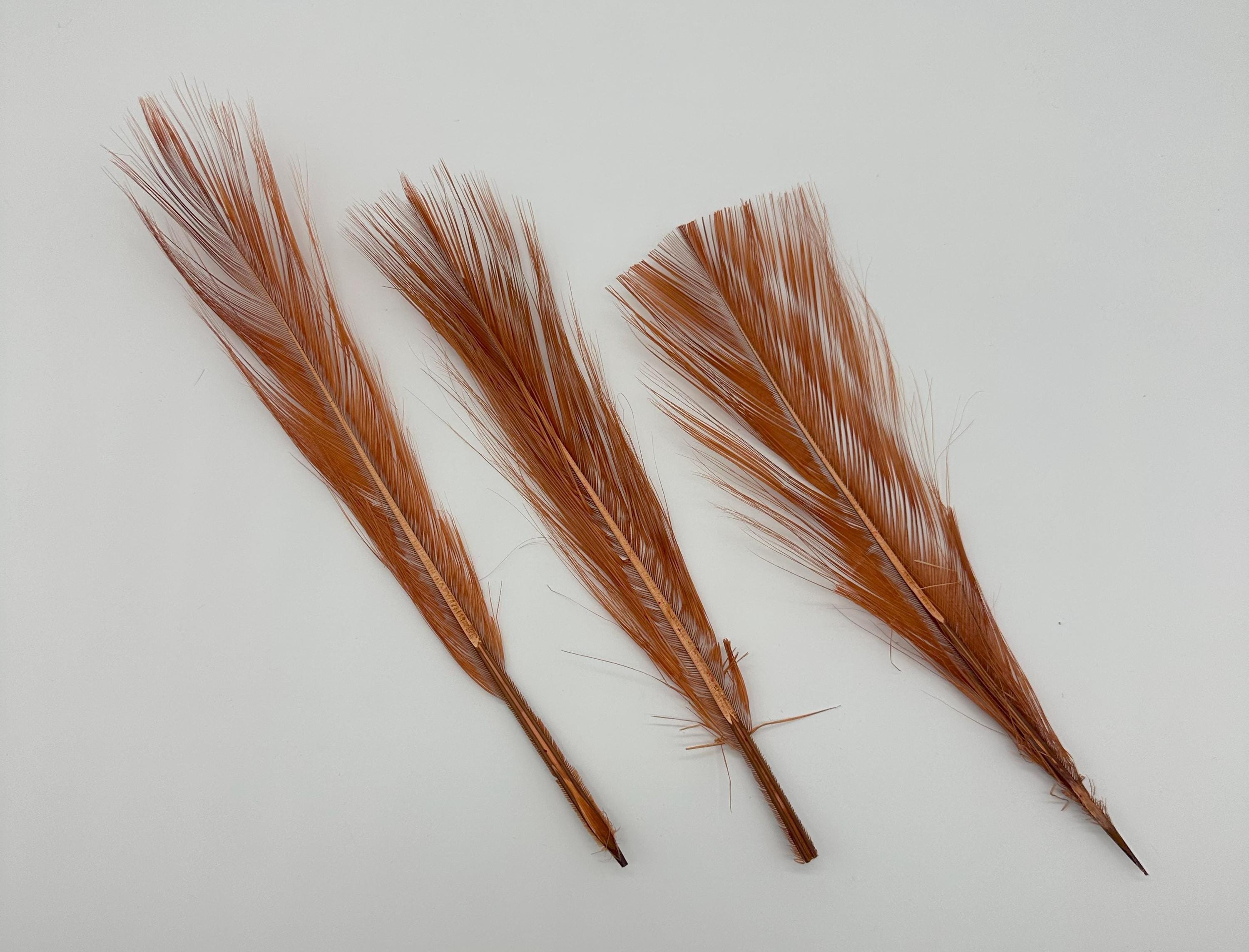 Burnt Turkey Quills in Vibrant Colors, Shabby Chic, Home Crafts and ...